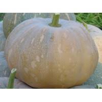 Indian Vegetable Seeds | Kattula Family Farms