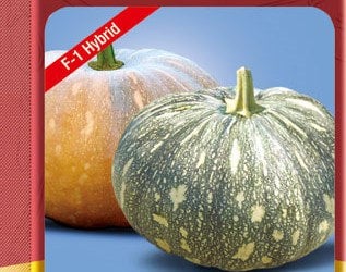 Indian Vegetable Seeds | Kattula Family Farms