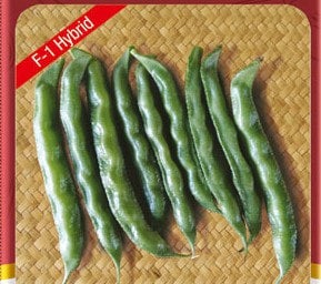 Indian Vegetable Seeds | Kattula Family Farms