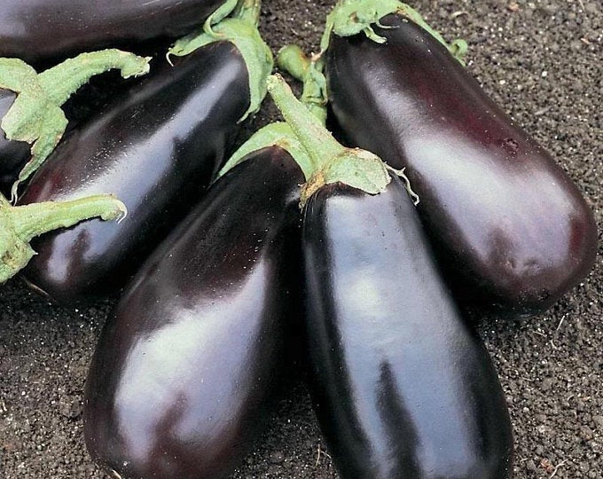 Indian Vegetable Seeds | Kattula Family Farms