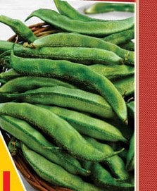 Indian Vegetable Seeds | Kattula Family Farms