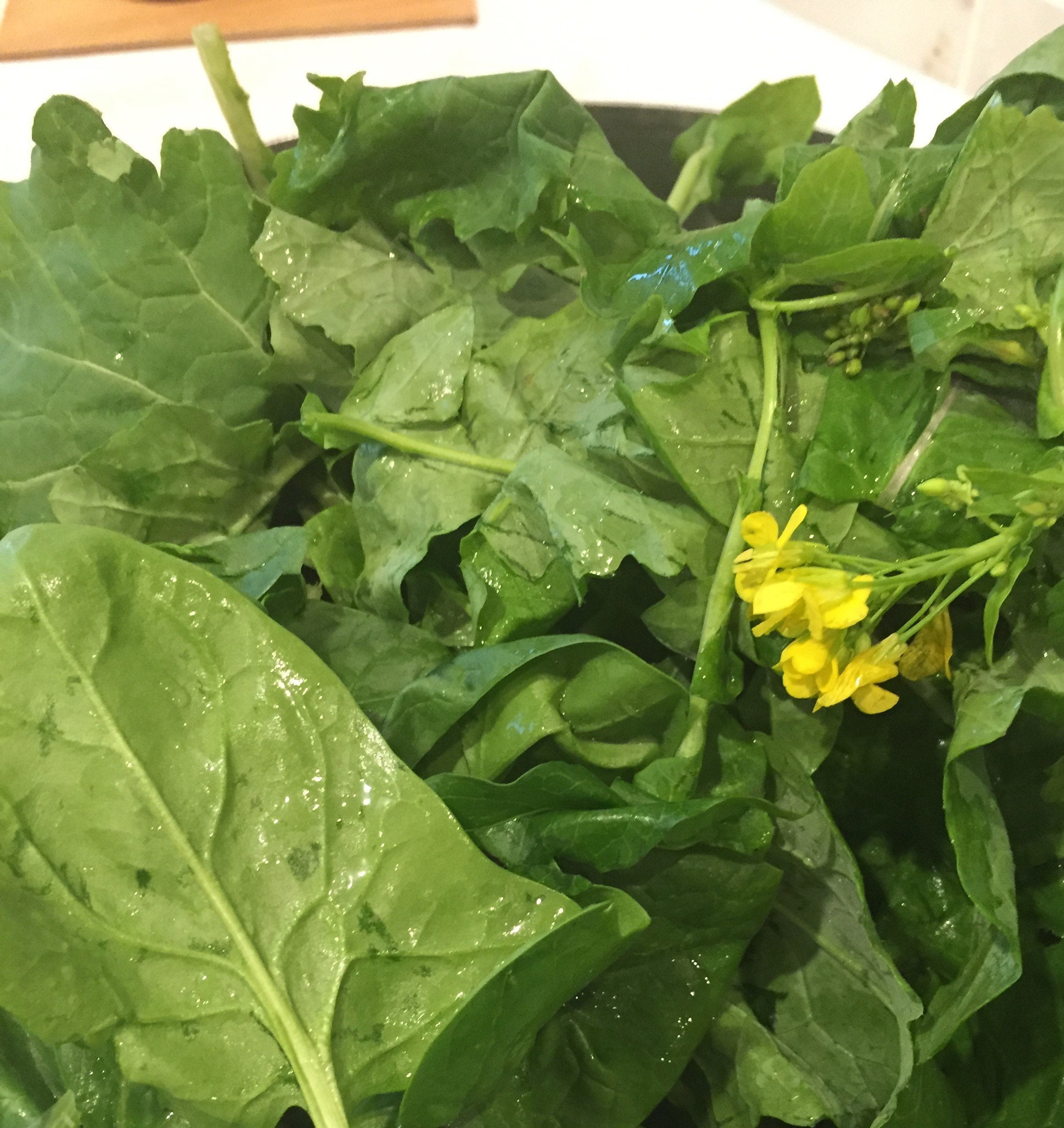 Indian Mustard seed | Kattula Family Farms