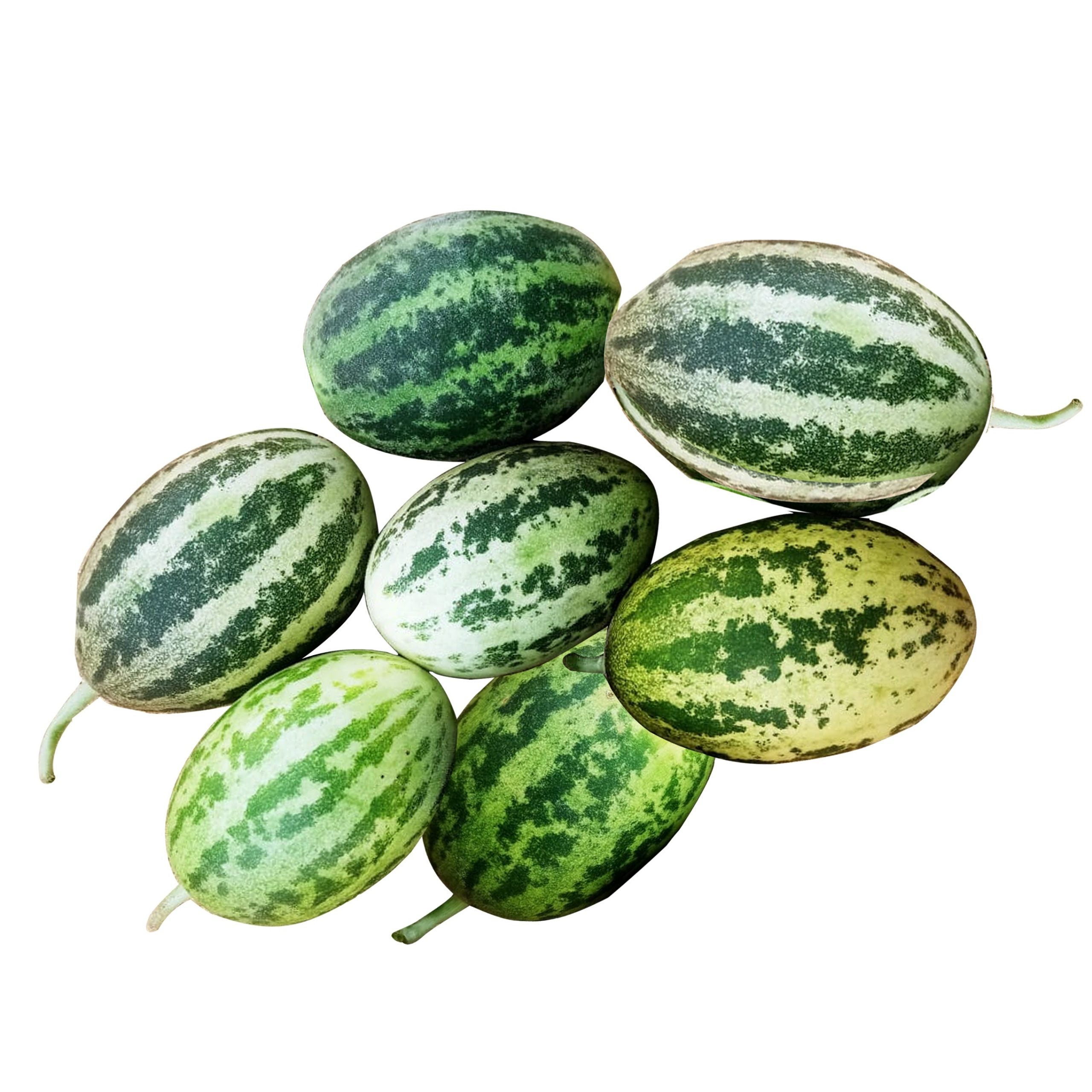 Budama kaya | Kattula Family Farms