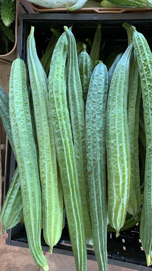 Ridge gourd F1 variety | Kattula Family Farms