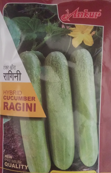 Indian Vegetable Seeds | Kattula Family Farms
