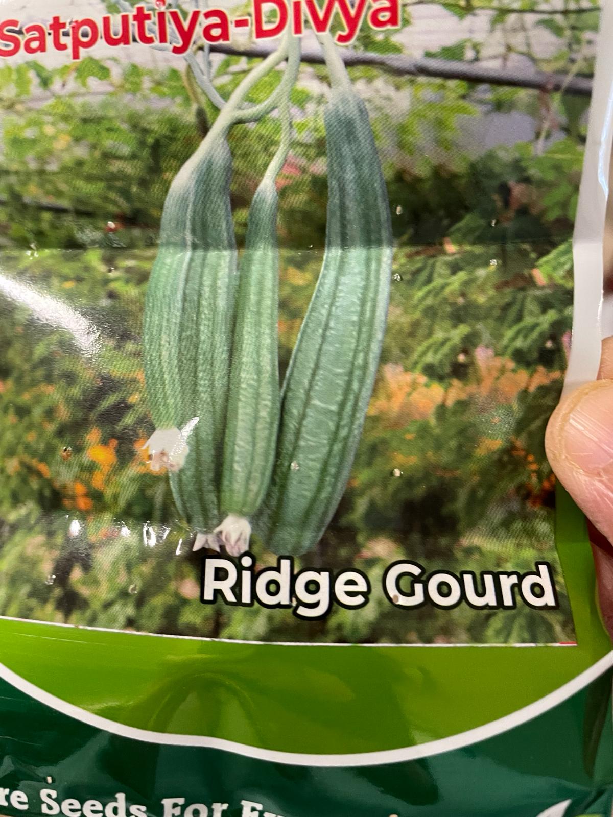 Ridge gourd Cluster variety /Gutti Beerakaya | Kattula Family Farms