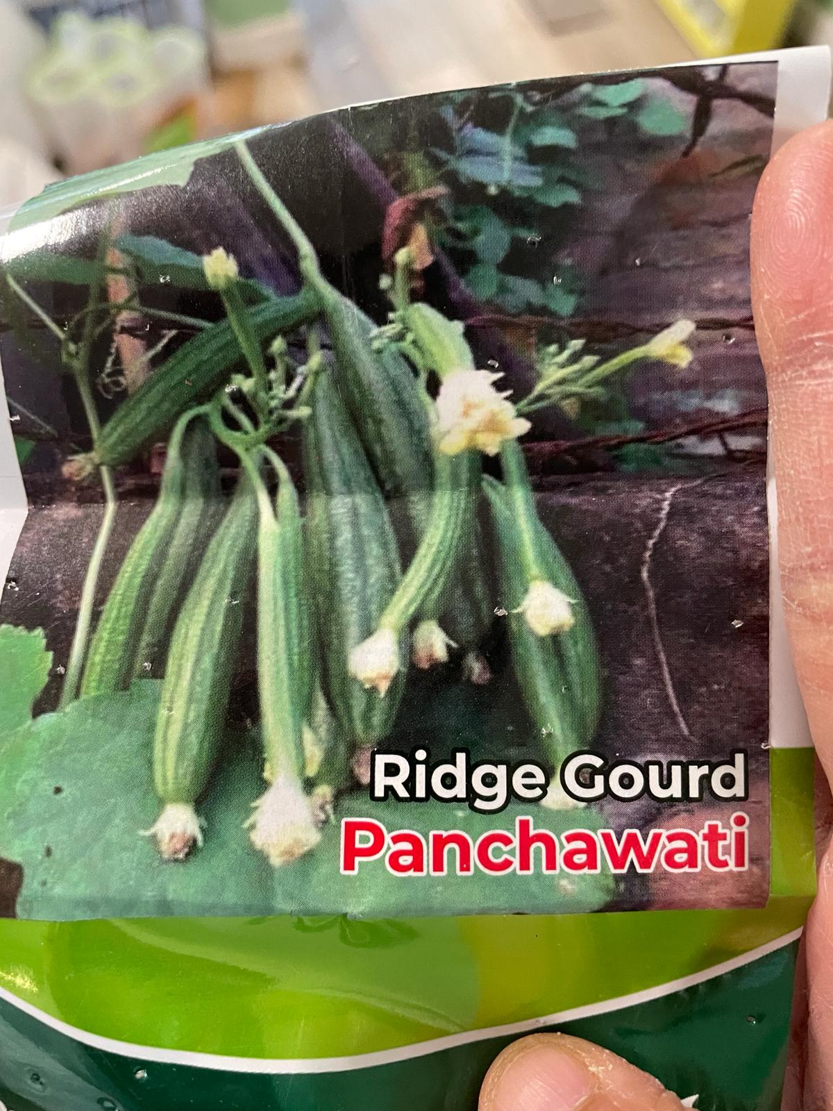 Ridge Gourd Panchavati cluster variety / Gutti Beerakaya | Kattula ...